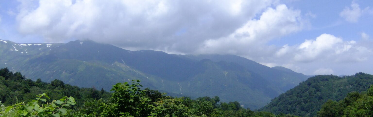 【B3LYP】DFT初心者が知っておくべき厳選ポイントをご紹介 | chemhobby